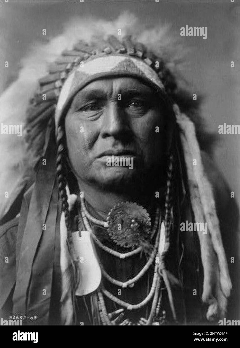 Crow scout Banque de photographies et d’images à haute résolution - Alamy