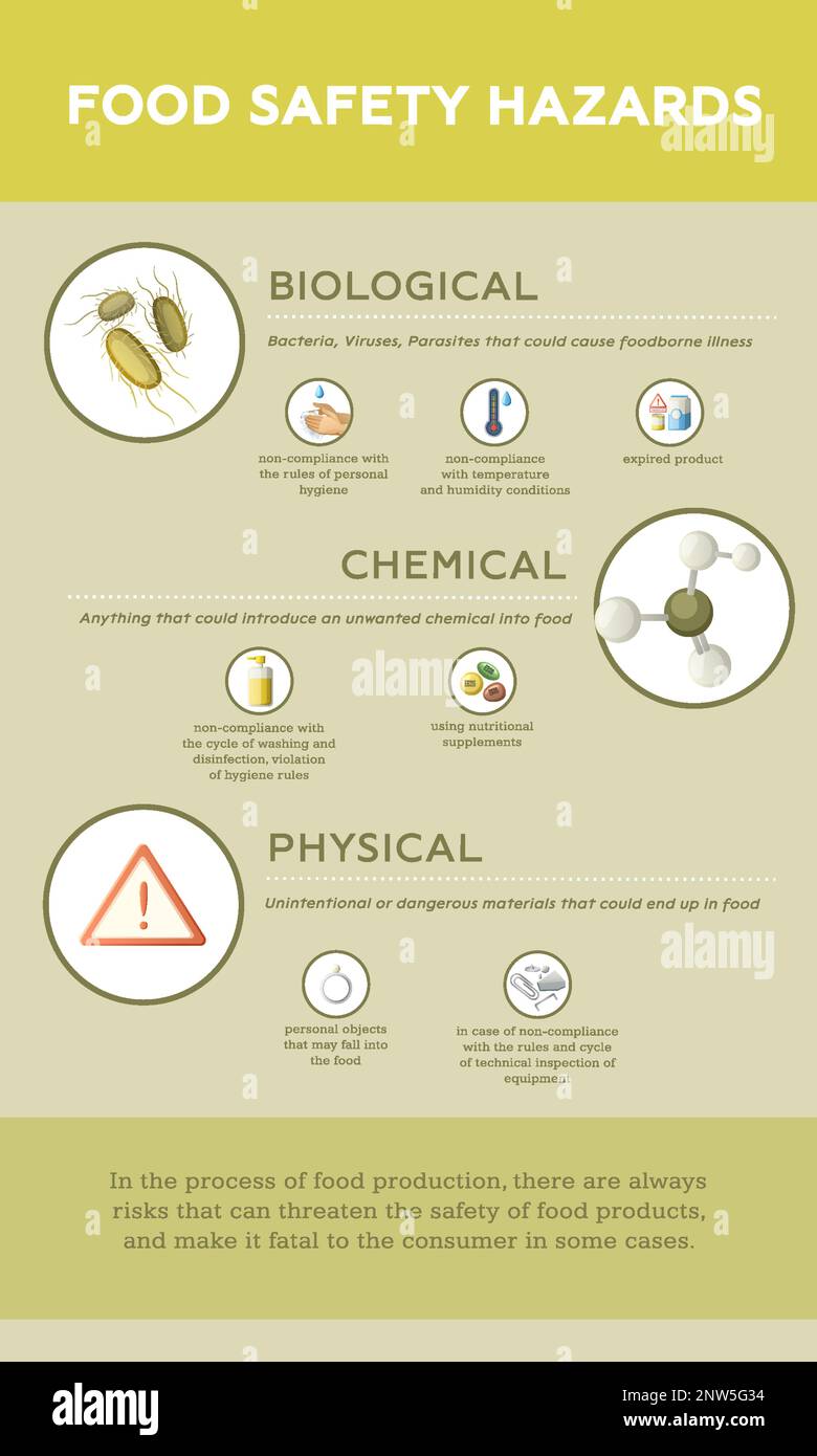 Infographies HACCP sur la salubrité des aliments avec texte modifiable ...