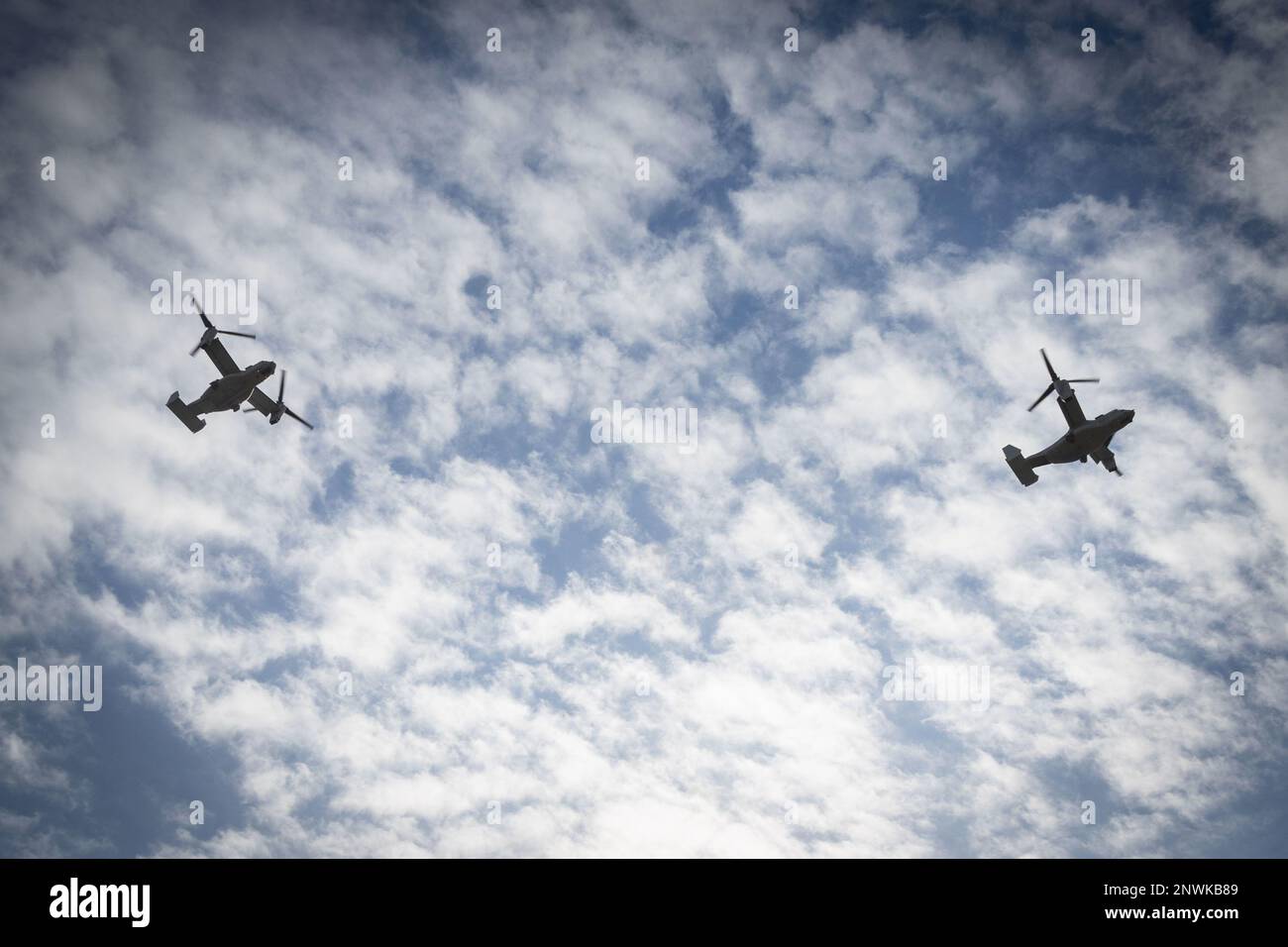 ÉTATS-UNIS Marines avec 3rd avions de mer Wing Fly MV-22B Ospreys à l ...