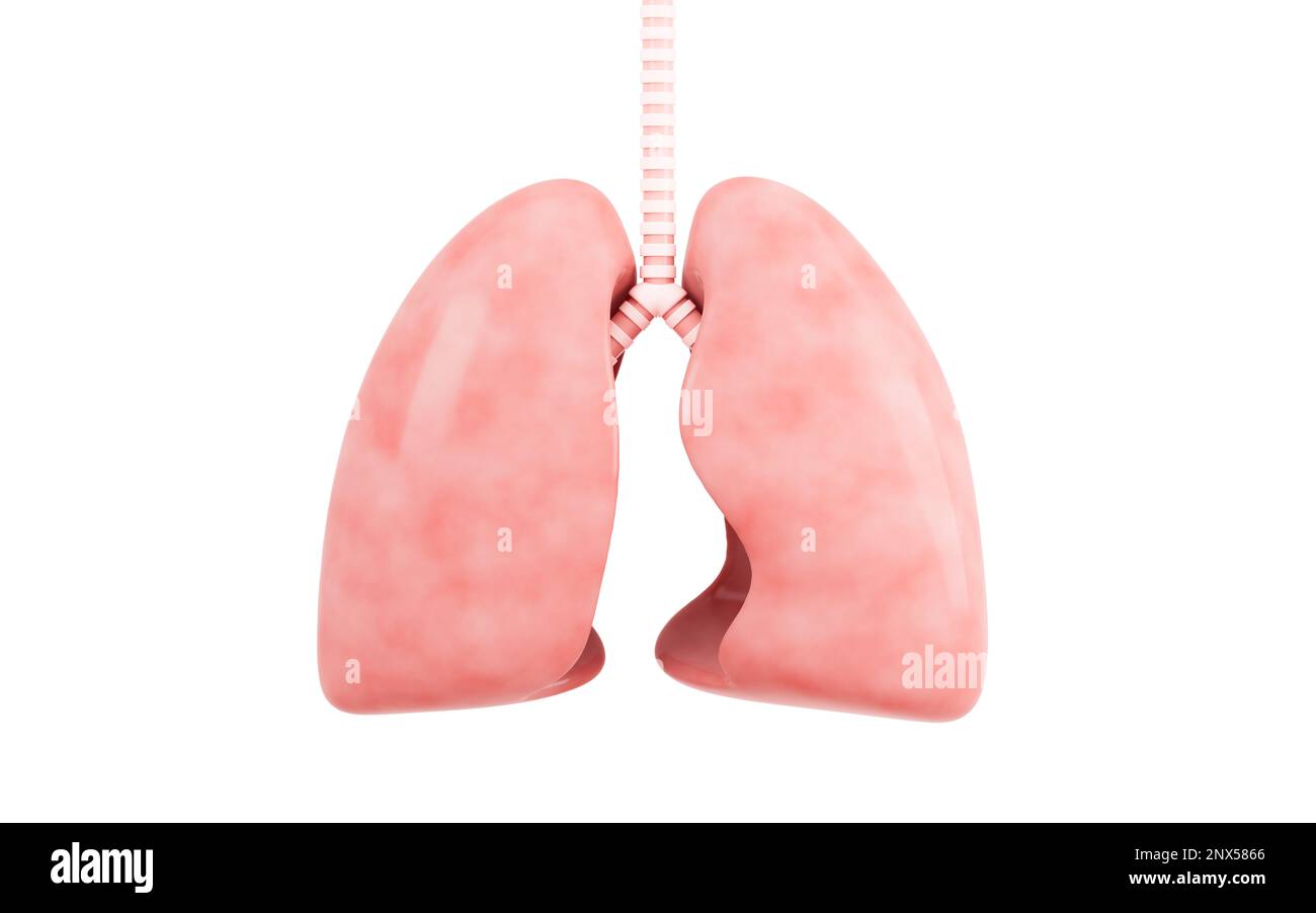 Lung cancer drawing Banque de photographies et d’images à haute ...