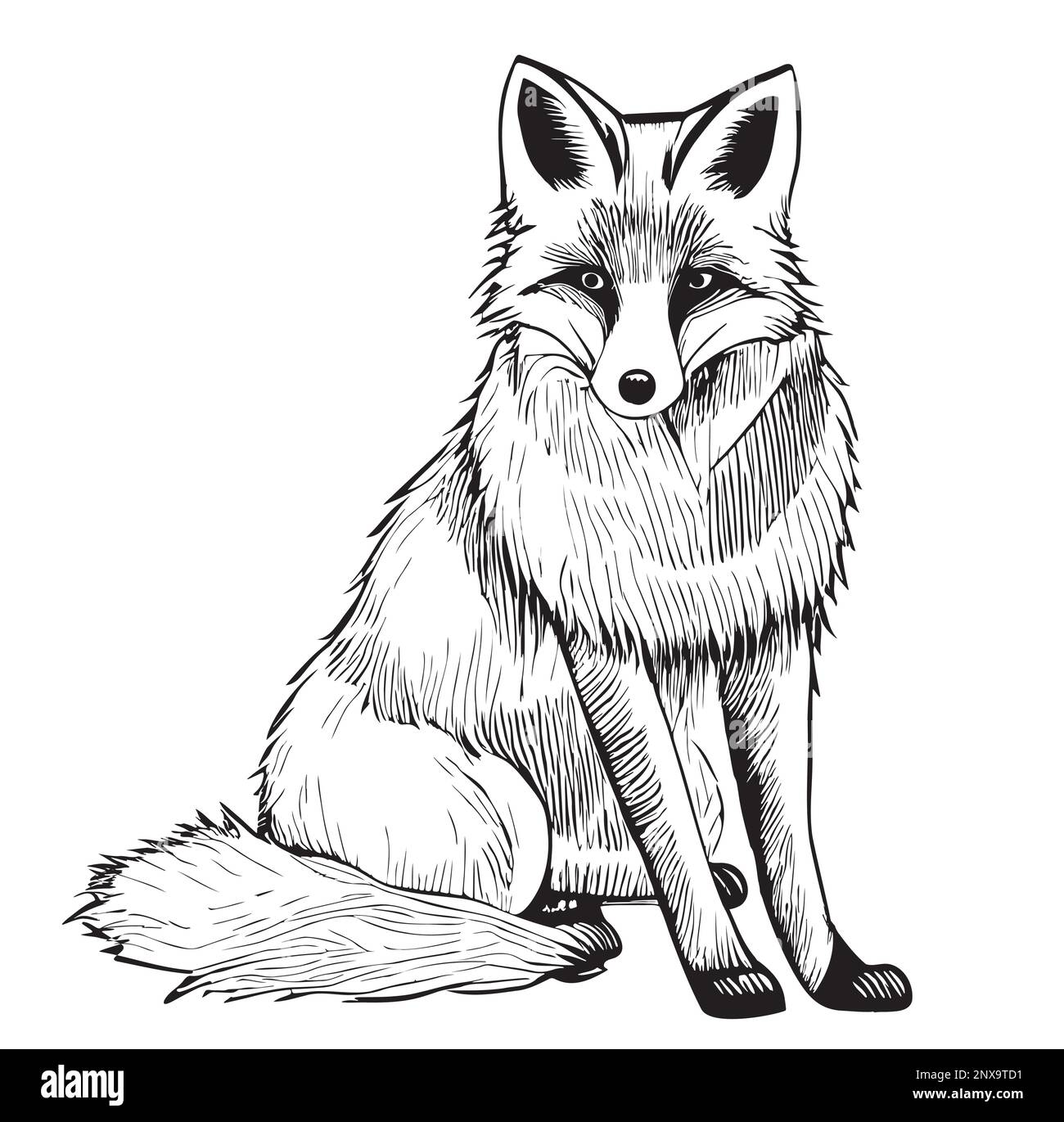 Renard gravure Banque d'images vectorielles - Page 2 - Alamy