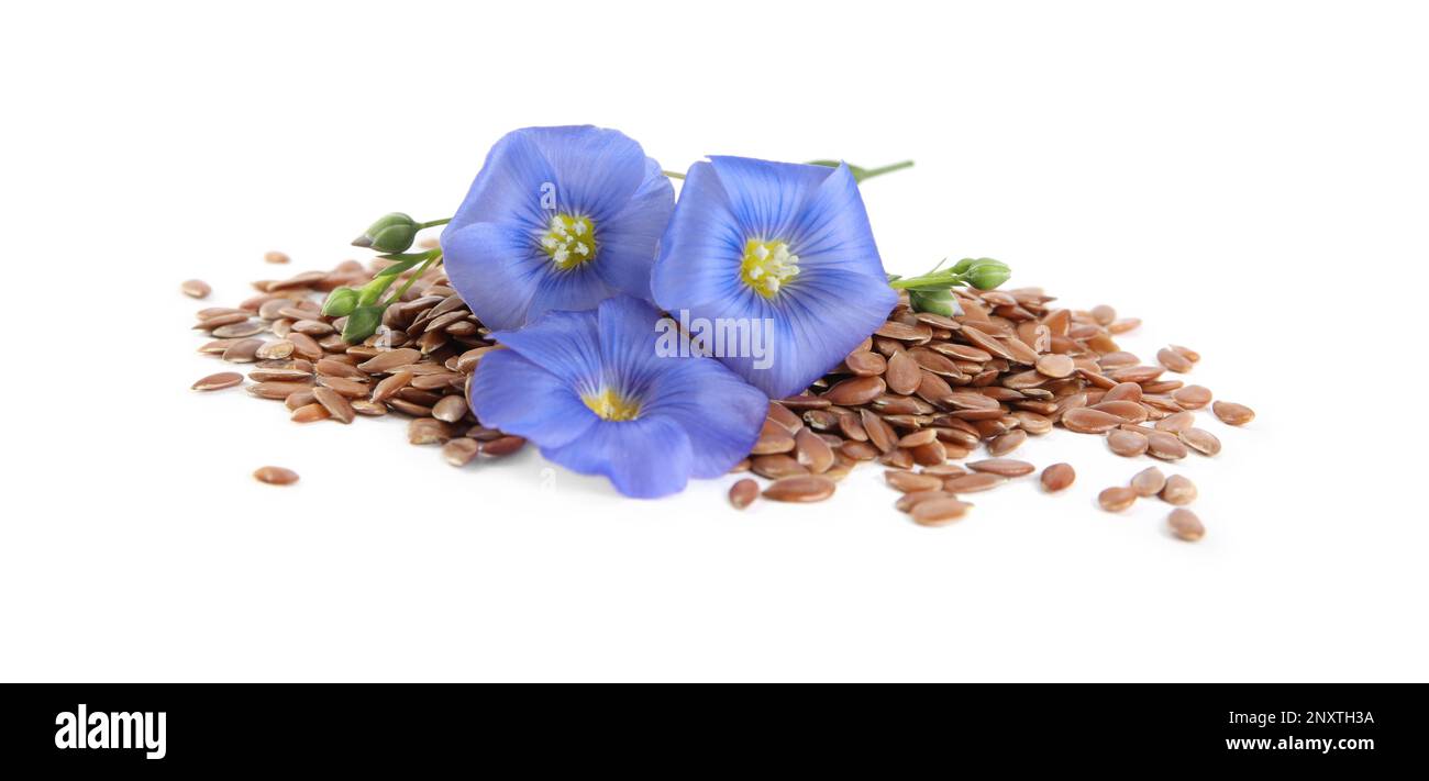 Fleurs marron clair Banque d'images détourées - Alamy