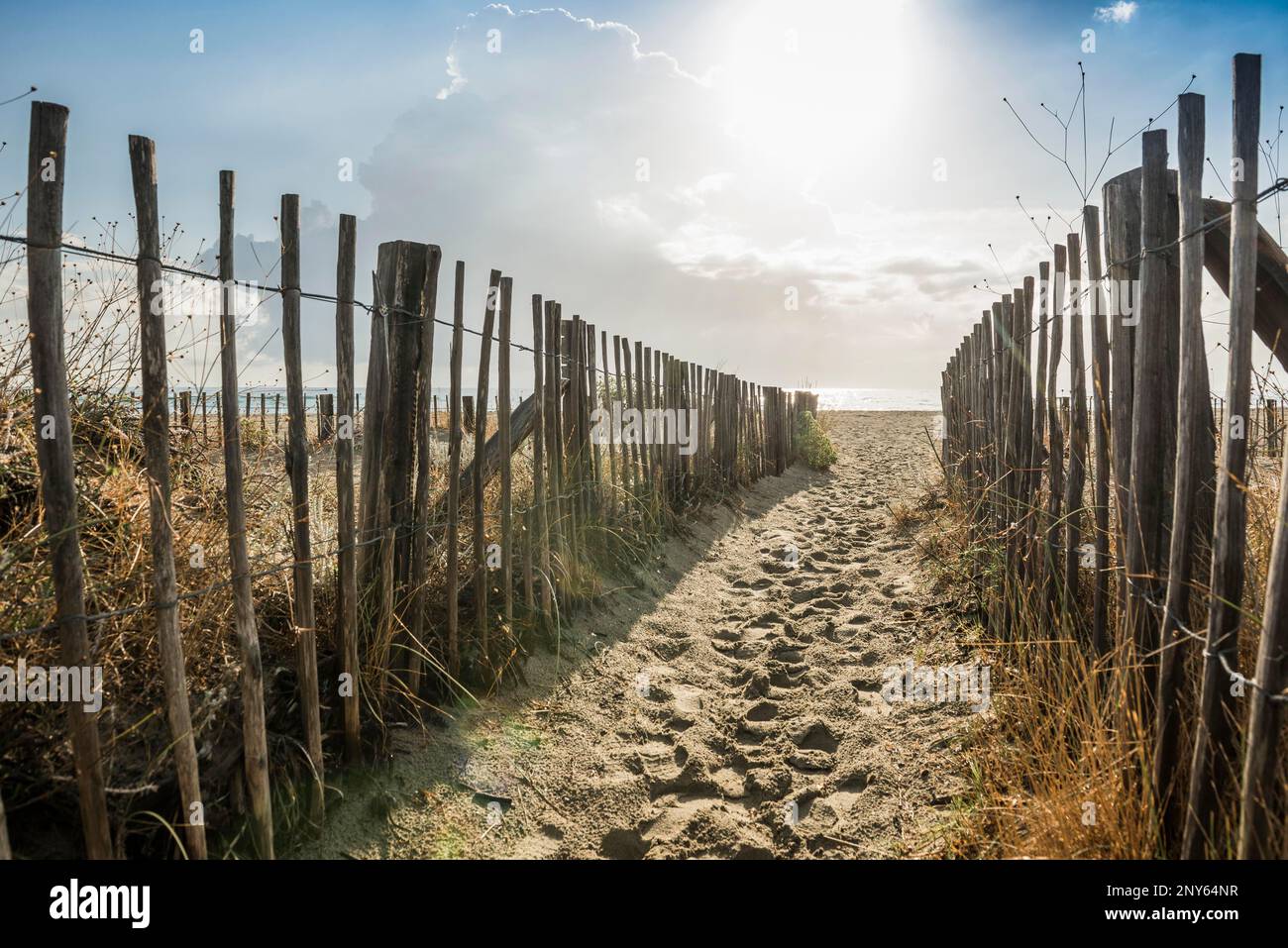 La marana Banque de photographies et d’images à haute résolution - Alamy