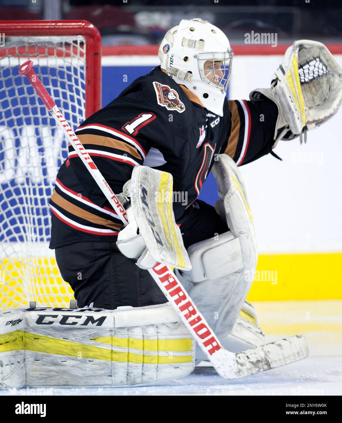 WHL (Western Hockey League) player profile photo on Calgary Hitmen ...