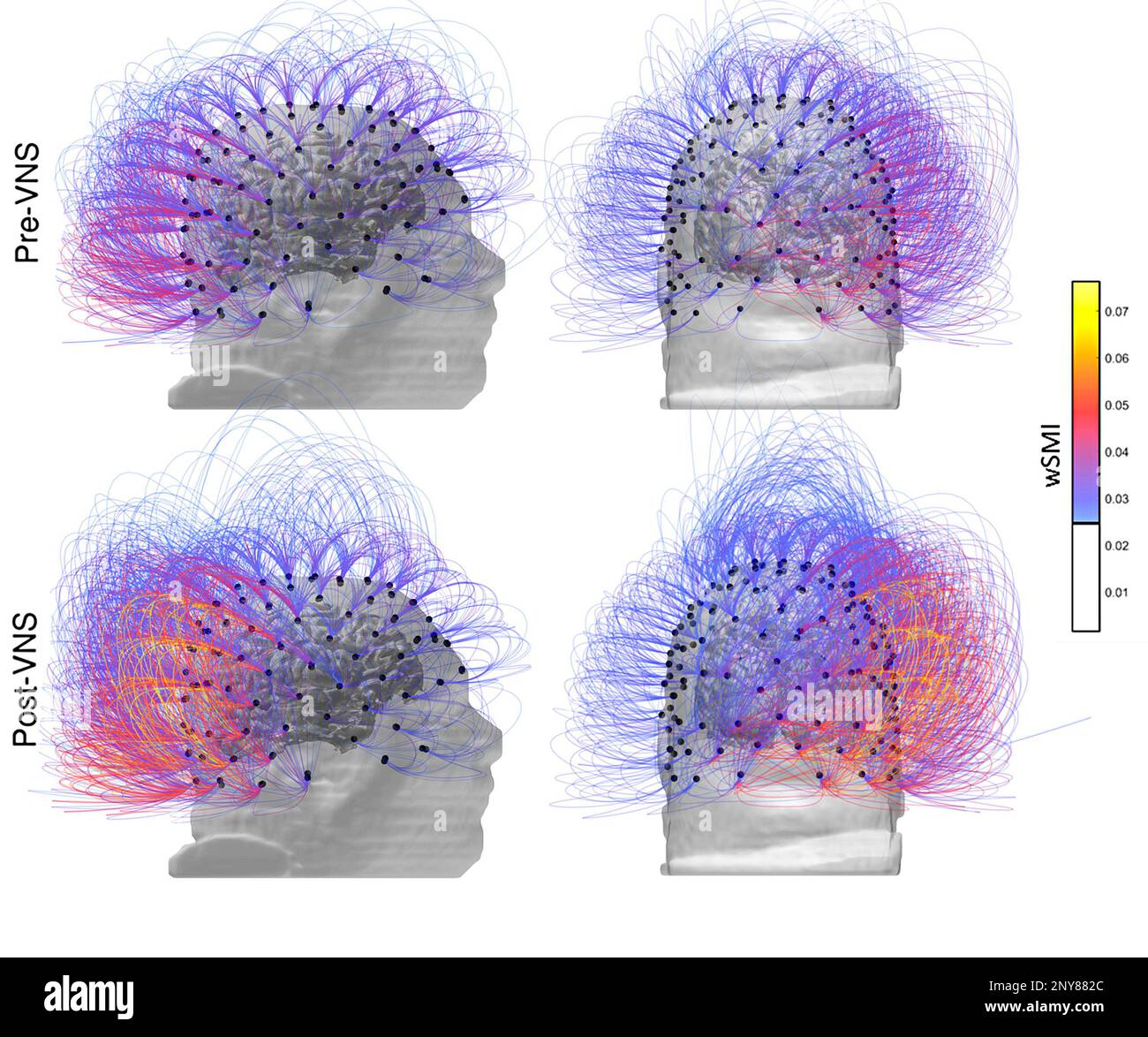 This image provided by the CNRS Marc Jeannerod Institute of Cognitive ...