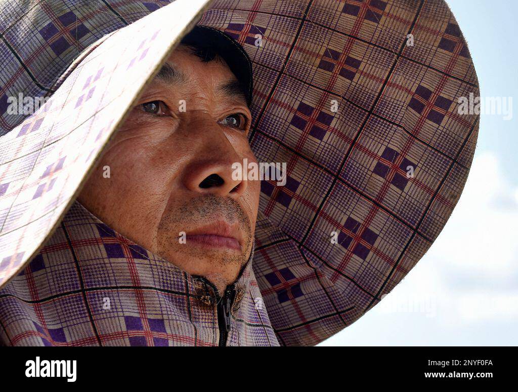 In this Monday, July 25, 2017 photo, Teng Yang looks out at his field ...