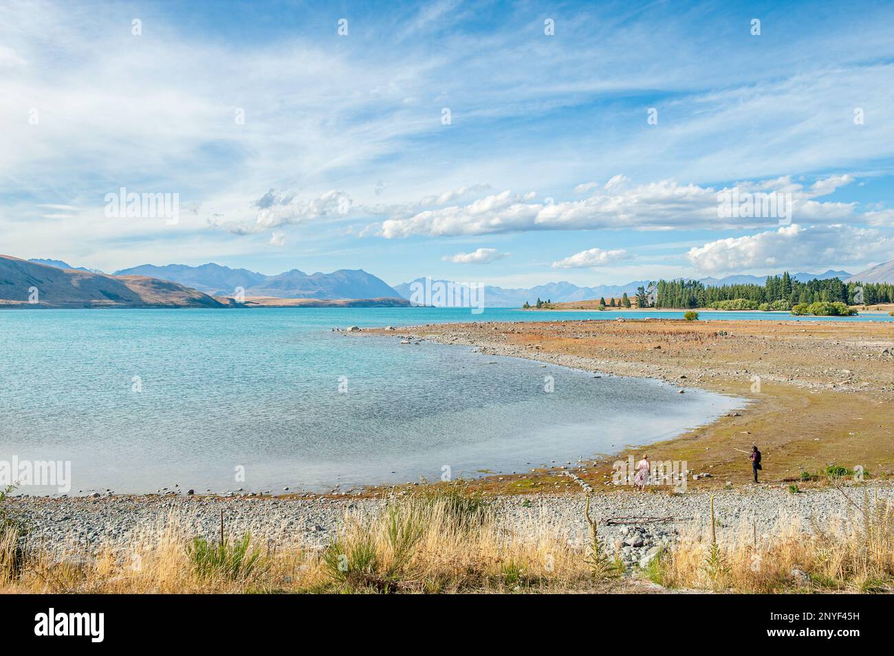 Le pays du Mackenzie avec le lac Tekapo sur l'île du Sud est l'une des ...