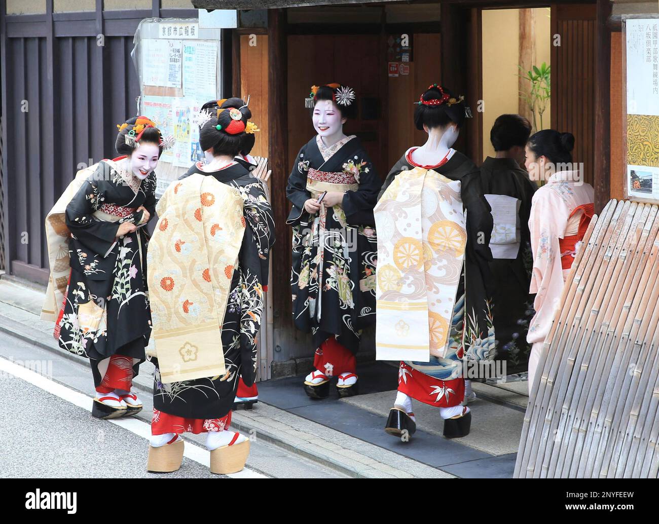 A group of geisha and maiko (apprentice geisha) clad in black formal ...