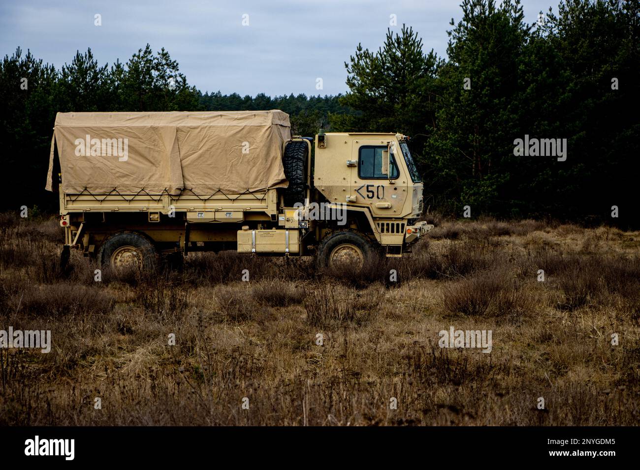 Un LMTV de 2nd Armored Brigade combat Team, 1st Cavalry Division ...