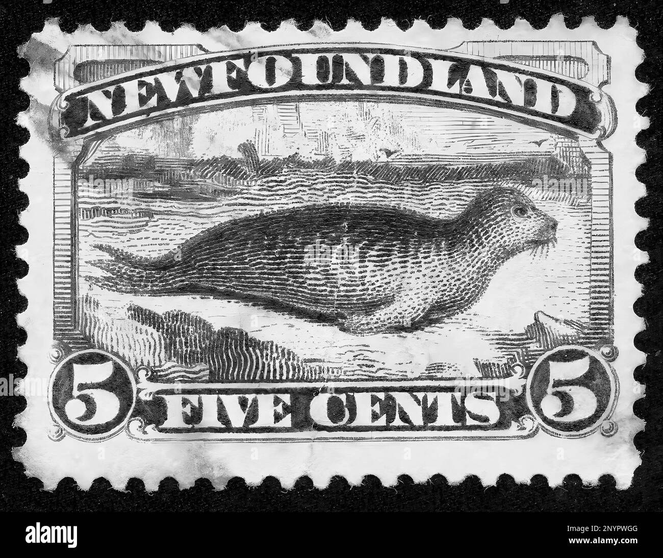 Newfoundland postage stamp Banque d'images noir et blanc - Alamy