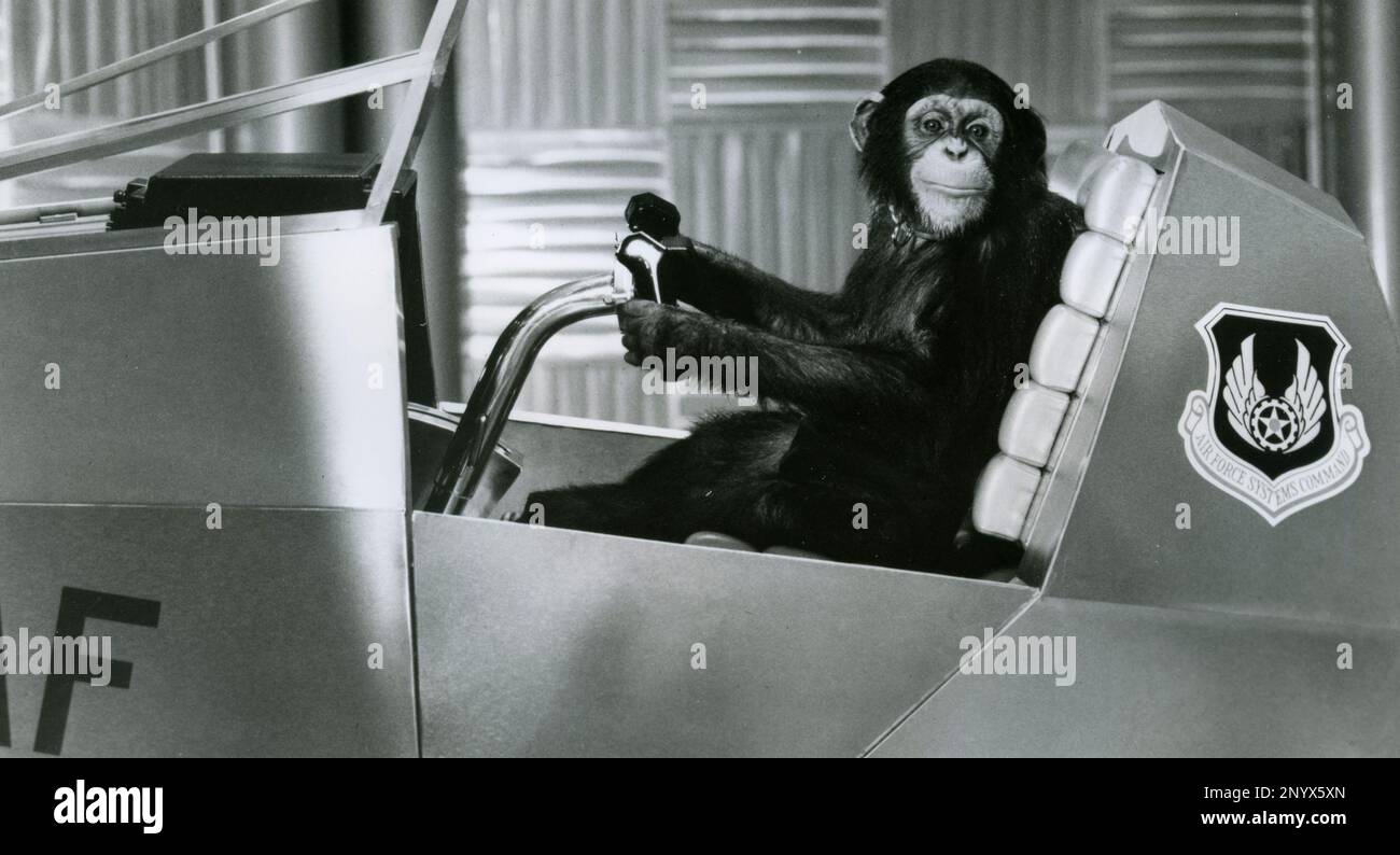 Project x Banque de photographies et d’images à haute résolution - Alamy