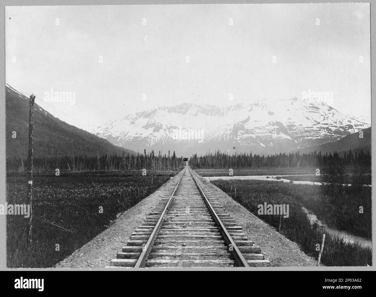 Chemin de fer sur la péninsule de Kenai. Collection Frank et Frances ...