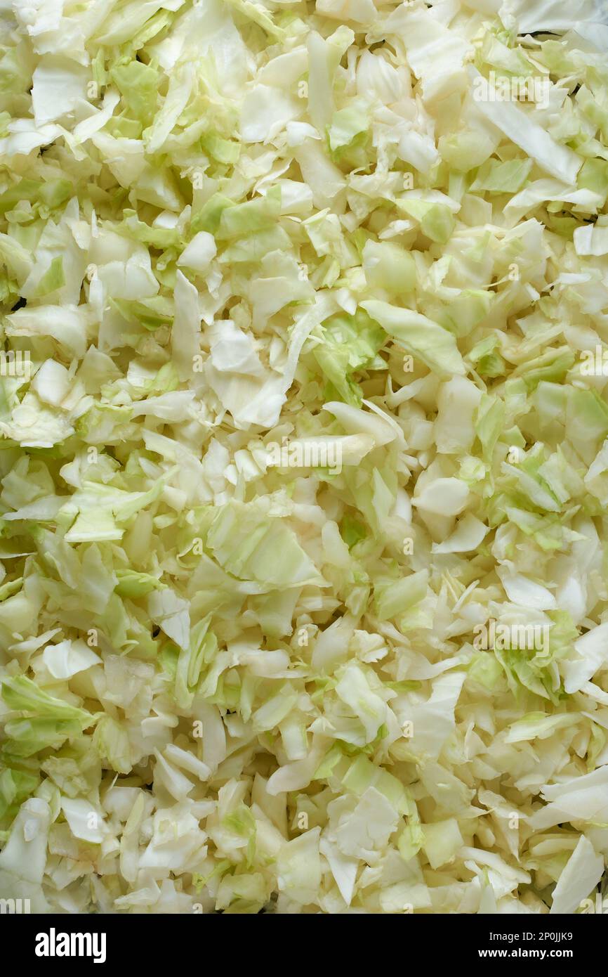 feuilles de chou vert hachées, blanc et vert pâle très nutritif et ...