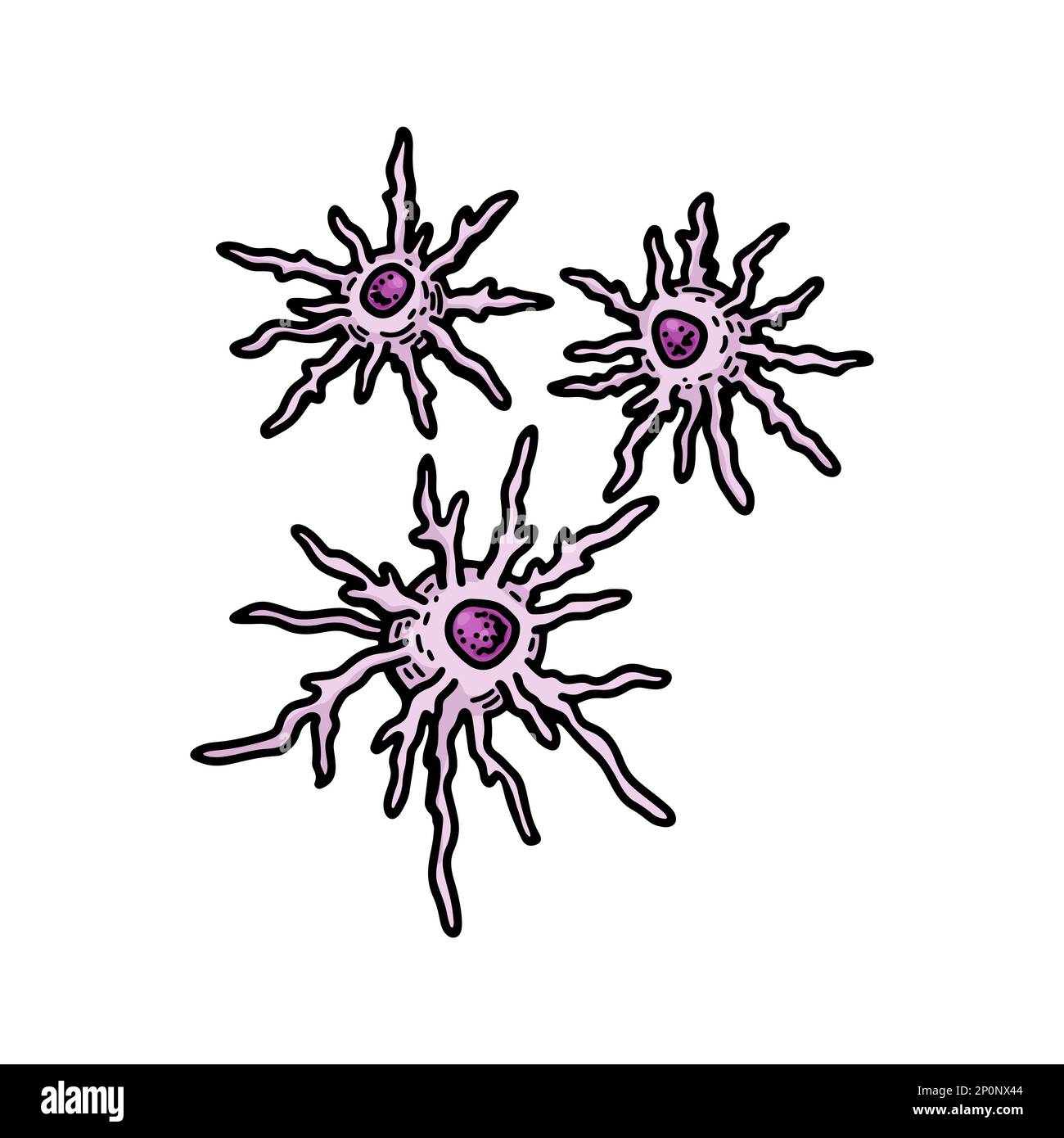 Cellule de sang dendritique isolée sur fond blanc. Illustration de ...