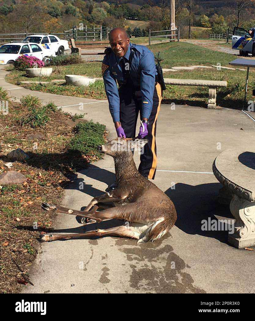 In a Friday, Oct. 21, 2016 photo provided by the New Jersey State ...
