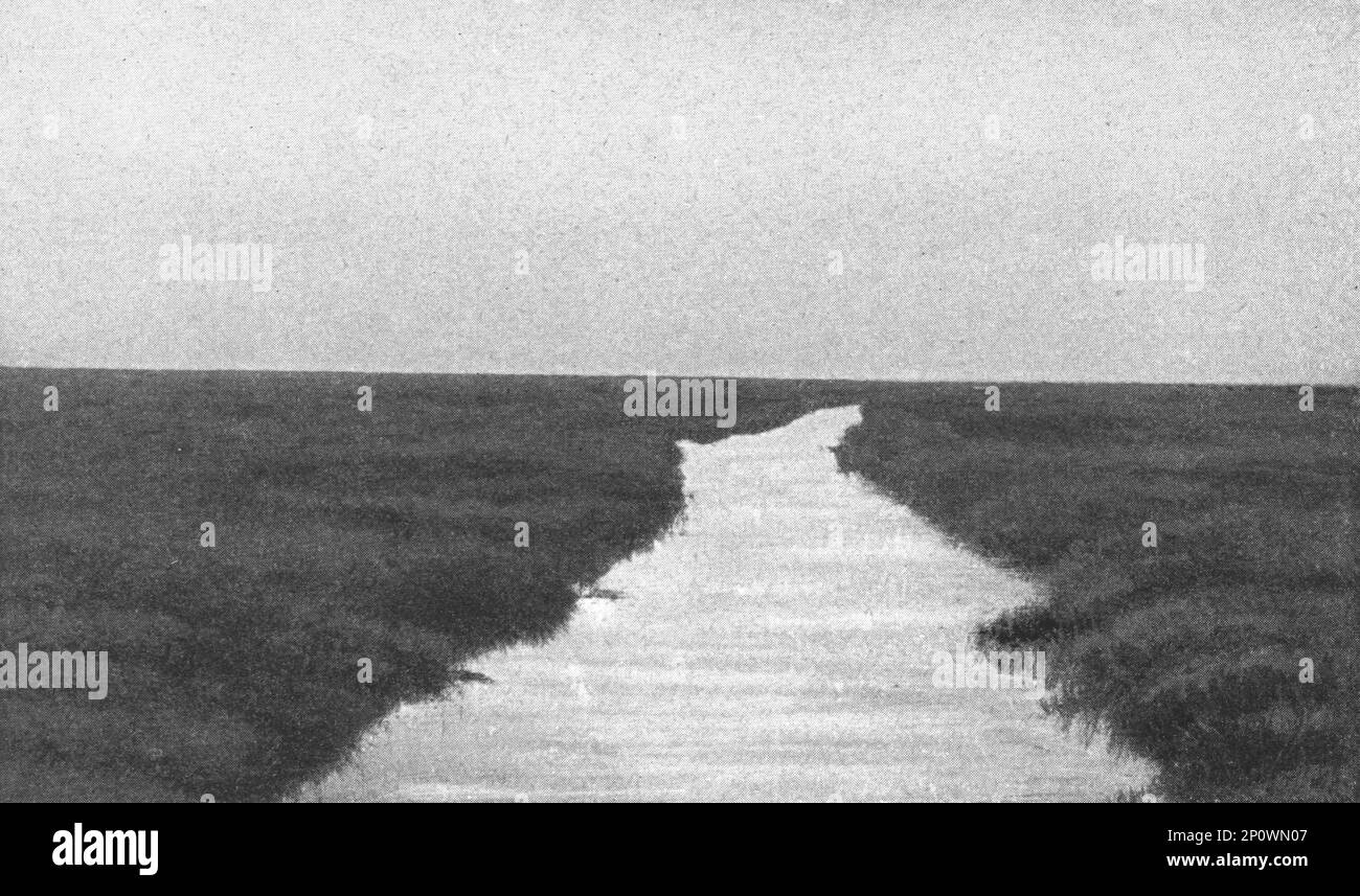 Sudd swamp Banque d'images noir et blanc - Alamy