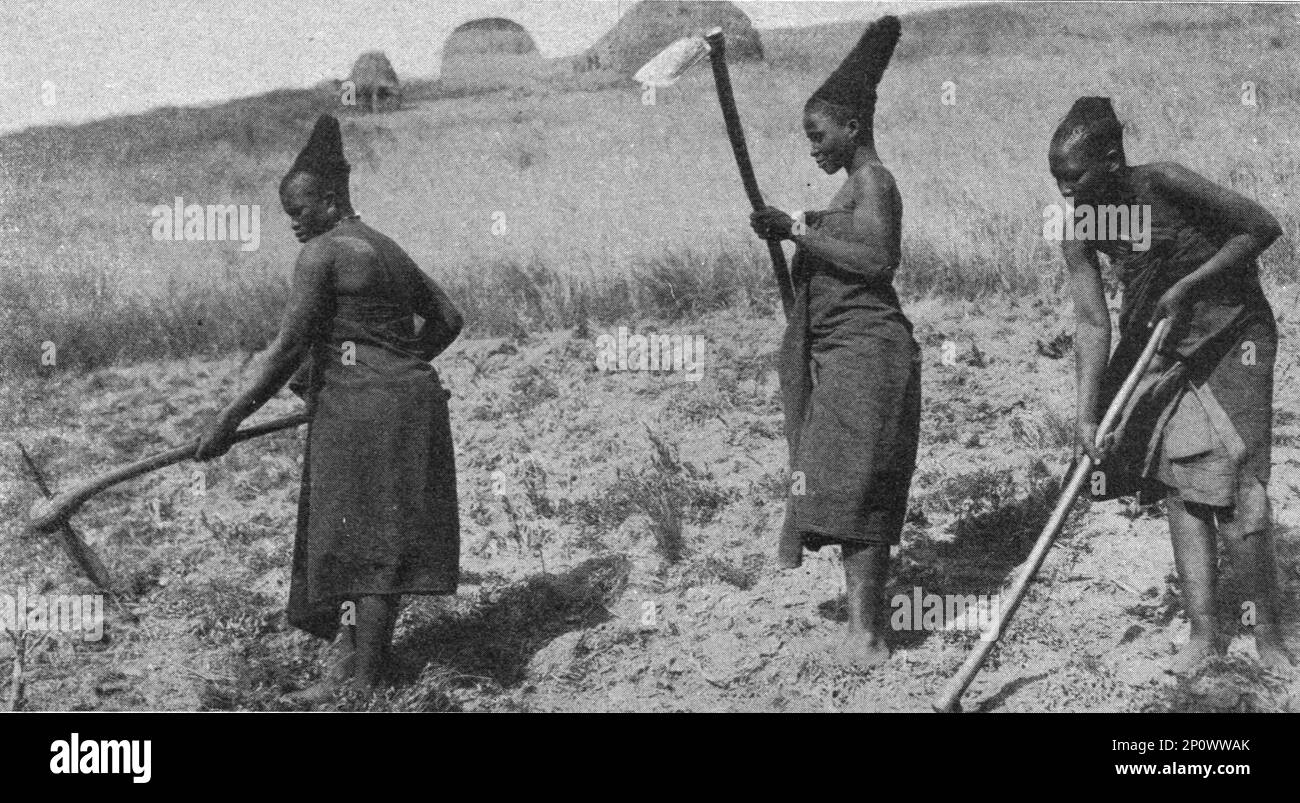 Femmes aux champs Banque de photographies et d’images à haute ...