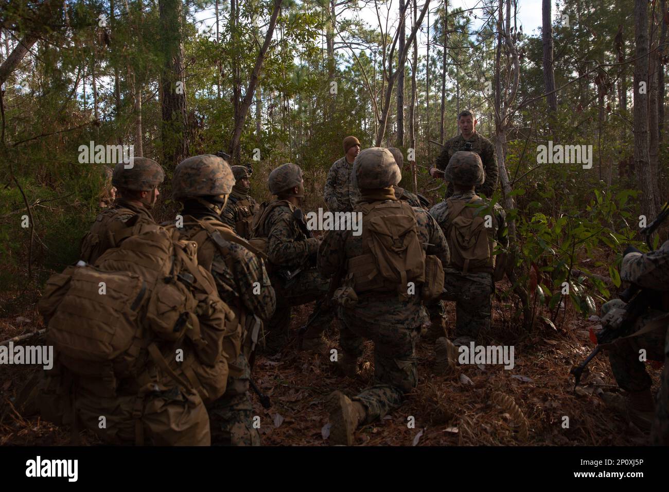 23ème bataillon d'infanterie légère Banque de photographies et d’images ...