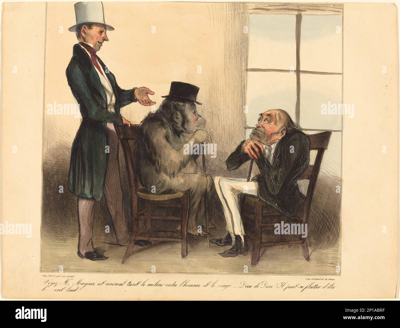 Dibujos animales para colorear Banque de photographies et d’images à ...