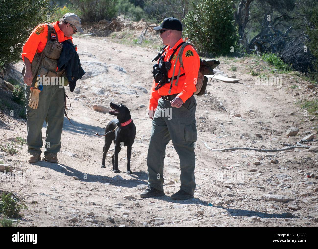 Pepper, a search and rescue K9 and her handler from the San Bernardino ...
