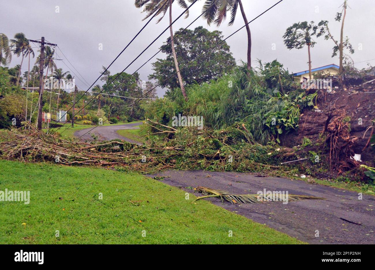 A tree lays across a road and power lines in Lami, Fiji, Sunday, Feb ...