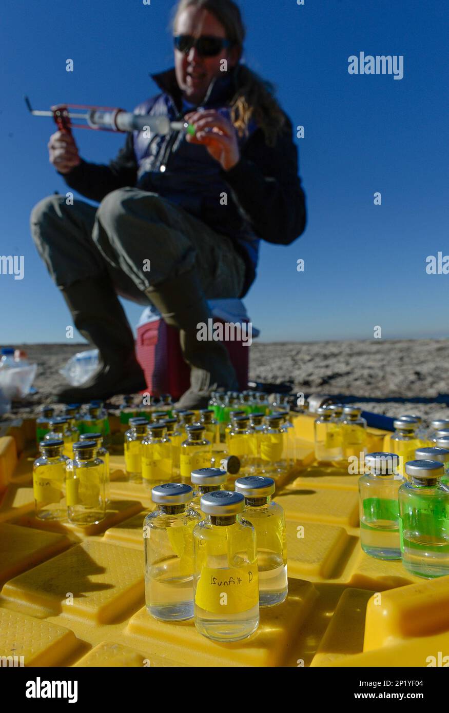 Eric Boyd, a Professor of Microbiology at MSU in Boseman Montana ...
