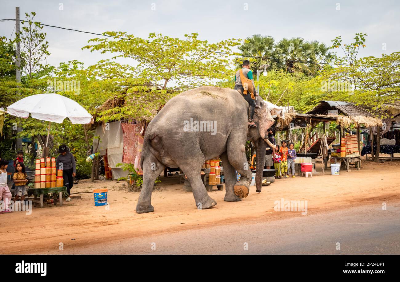 Guides au sol Banque de photographies et d’images à haute résolution ...