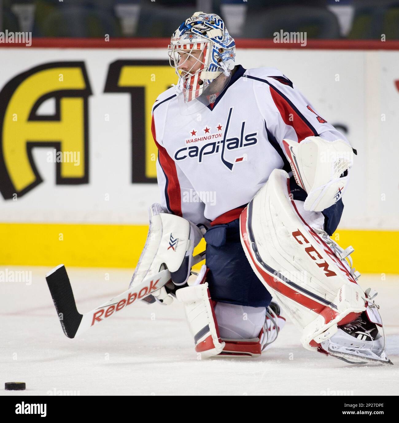 NHL profile photo on Washington Capitals' goalie Philipp Grubauer, from ...