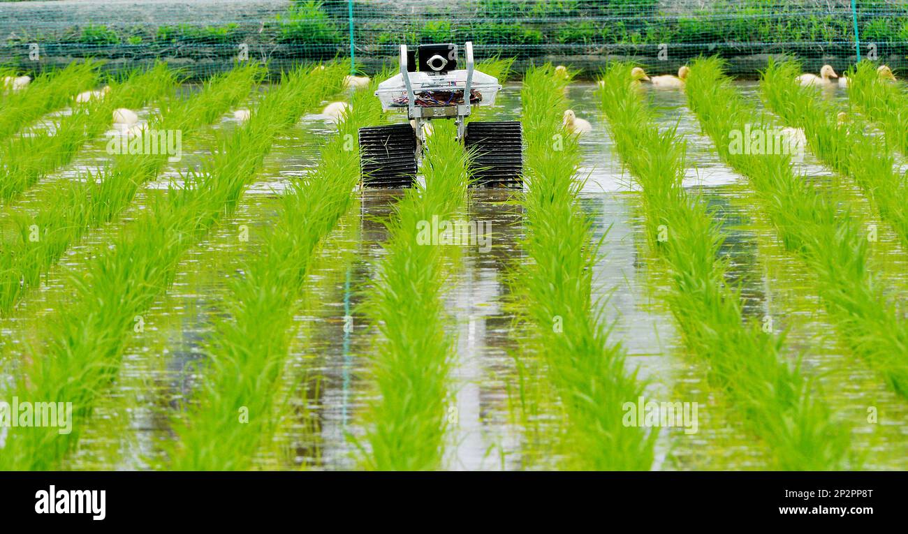Okayama prefectural government demonstrates a robot to help support to ...
