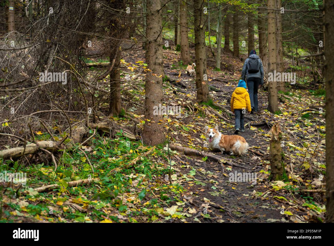En automne, ma mère et son petit fils font un sentier de montagne. Ils ...