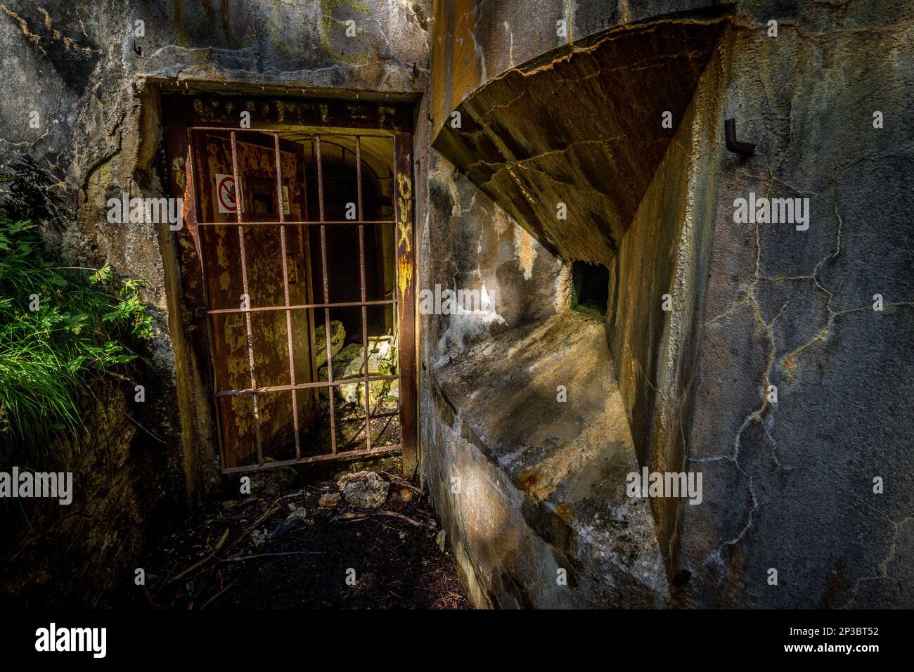 Bunker en béton abandonné et abandonné avec embrasure en forêt d'été ...