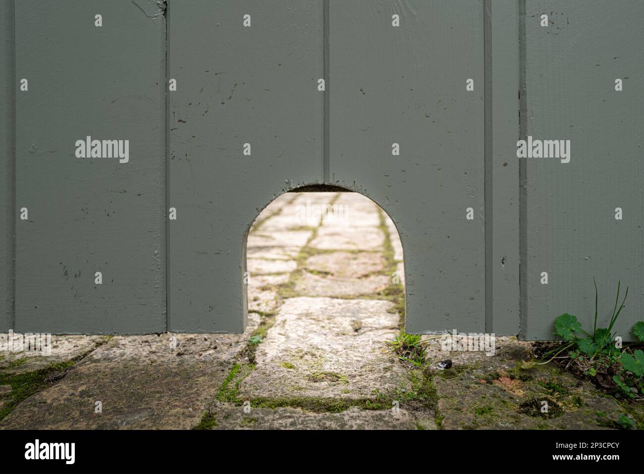 Nouveau petit trou d'entrée de hérisson au fond d'une porte de jardin ...