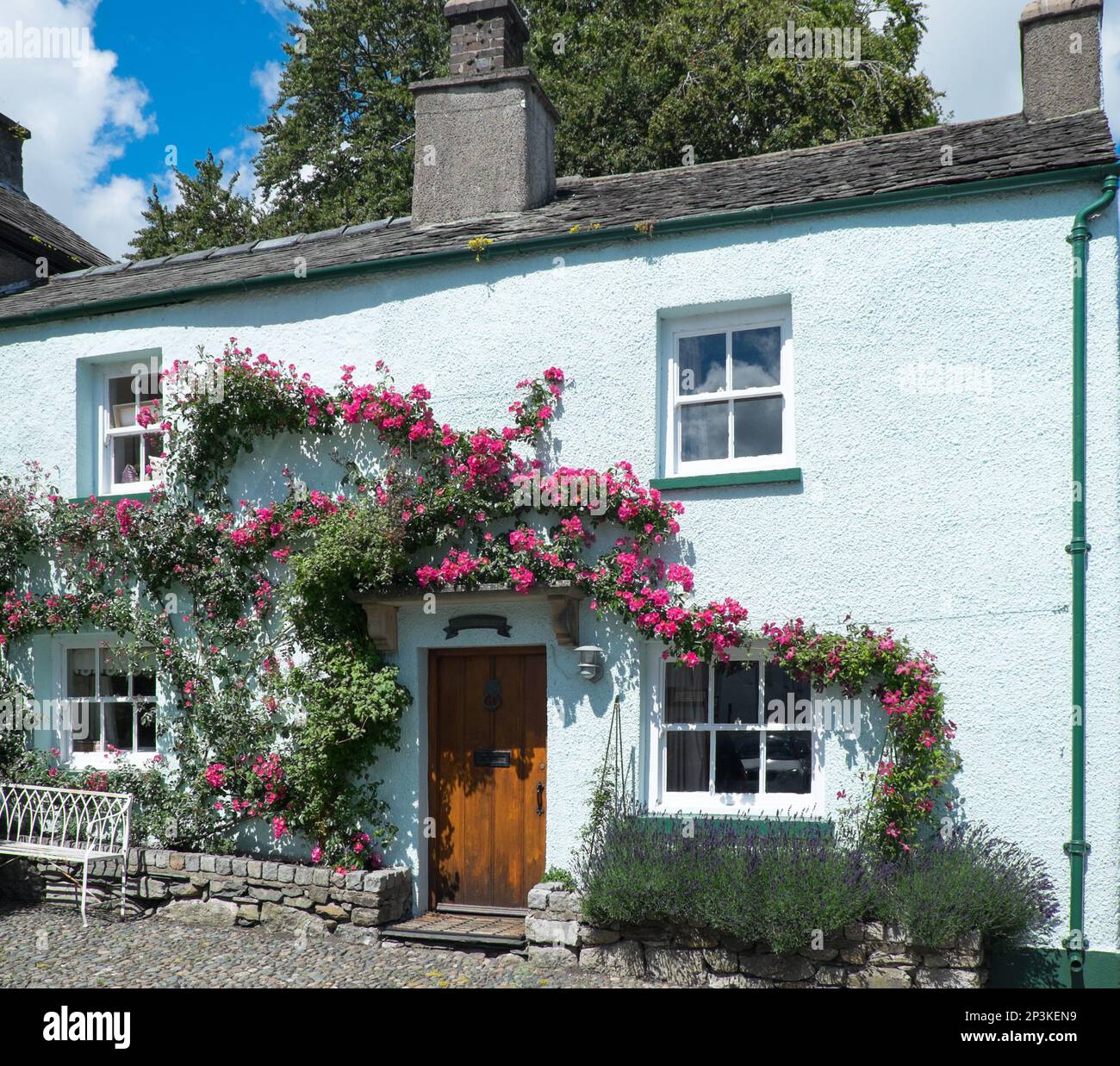 English country cottage roses Banque de photographies et d’images à ...