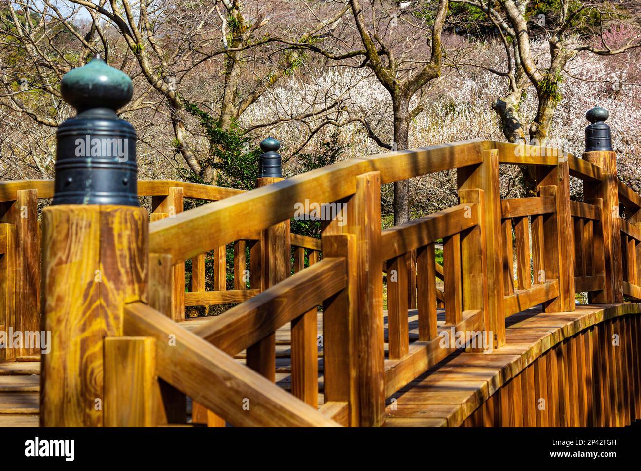 Atami baien Banque de photographies et d’images à haute résolution - Alamy