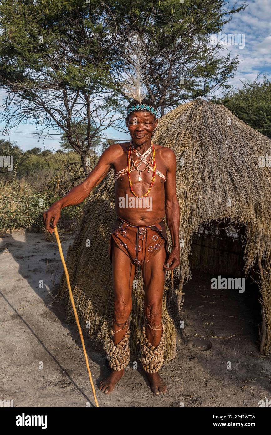 Afrique, Botswana, désert de Kalahari. Portrait d'un chasseur-diviseur du peuple !Kung, une ...