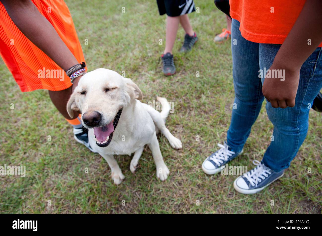 Thirteen-year-old Tyree Whitehead (left) pets Tilda, a dog with the ...