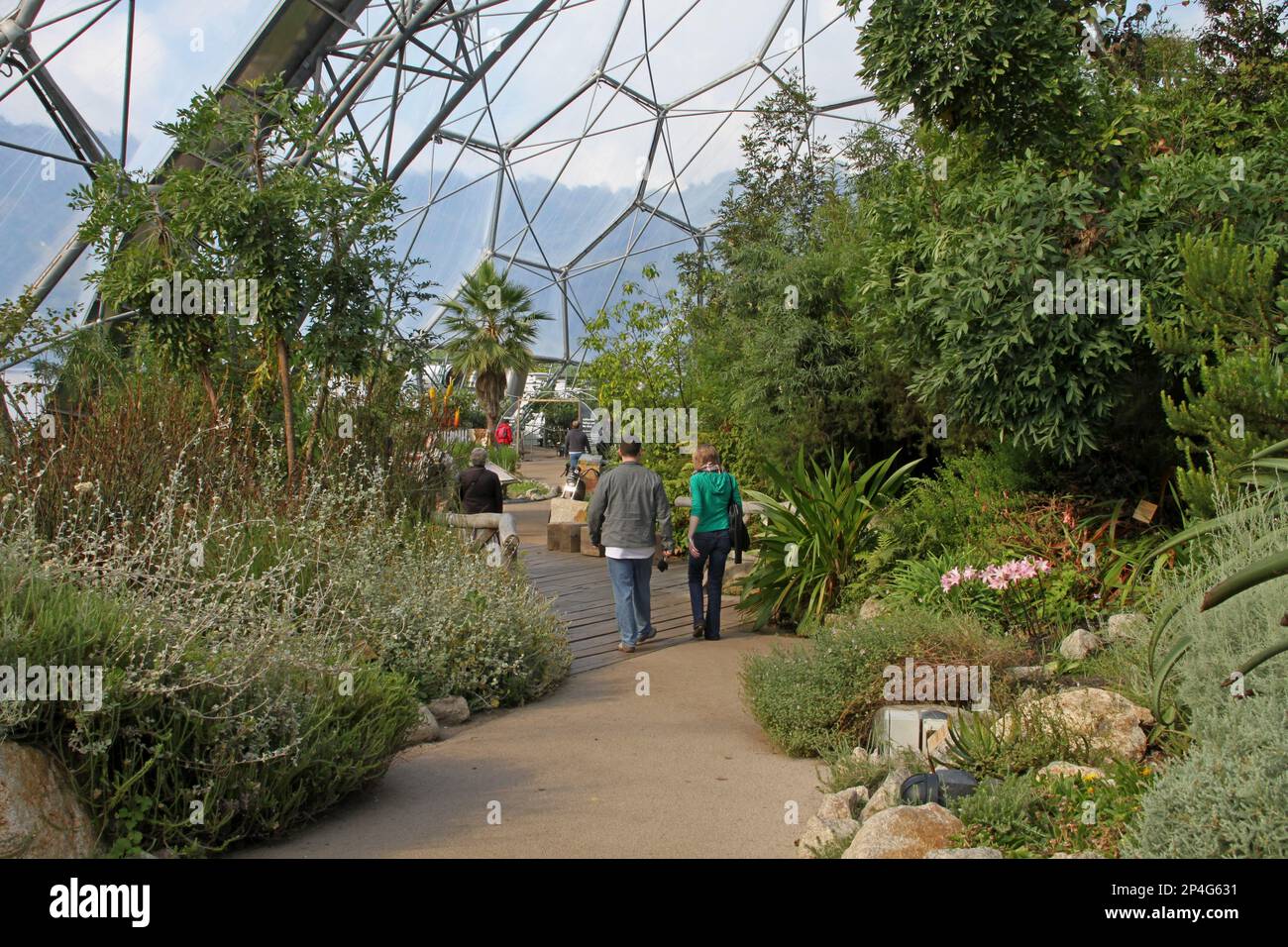 Dans le biome méditerranéen au projet eden Banque de photographies et d ...