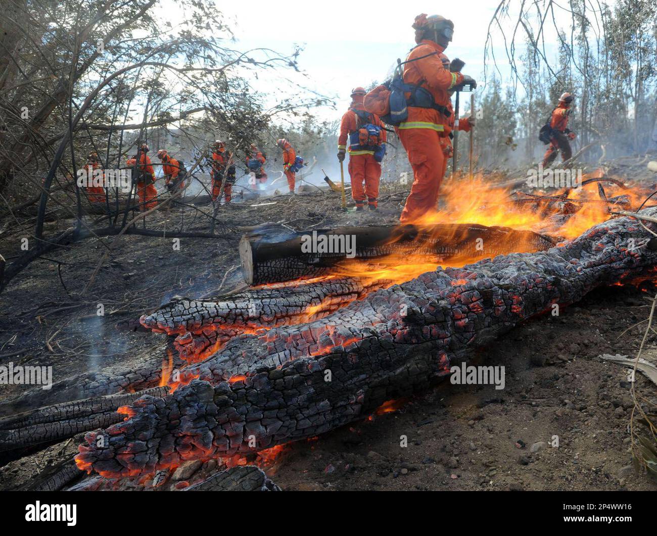Firefighter and Cal Fire battle a brush fire in Happy Campground and ...