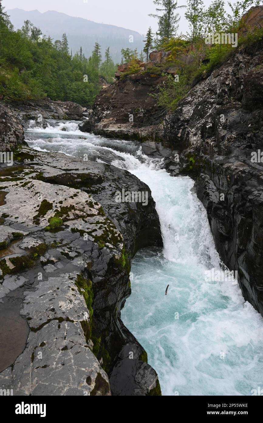 Cascade sur le plateau de Putorana. Paysage aquatique sur le plateau de ...