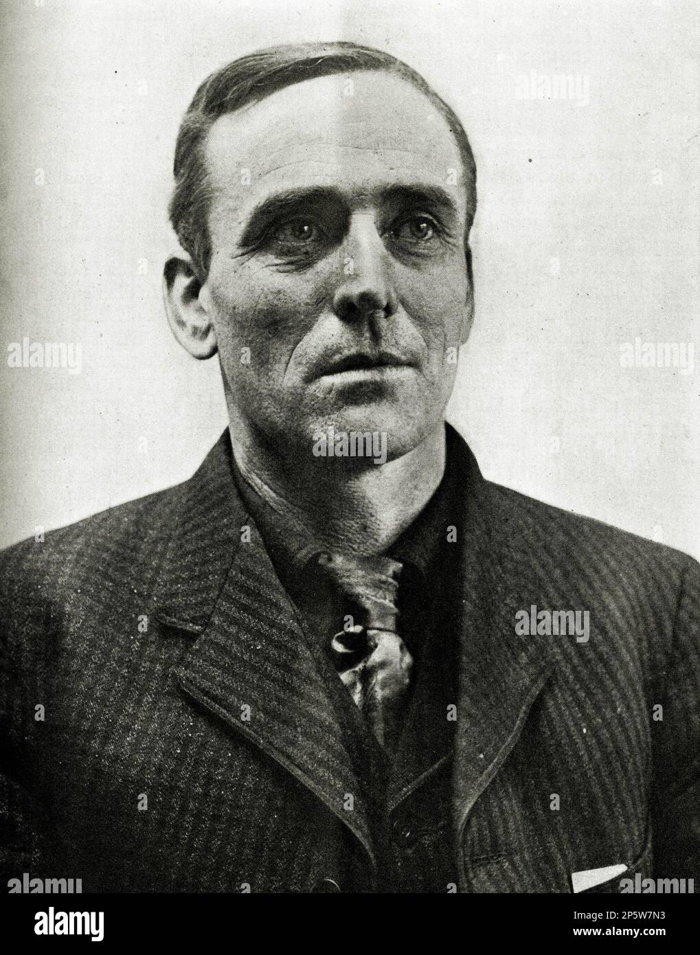 Tom white Banque de photographies et d’images à haute résolution - Alamy