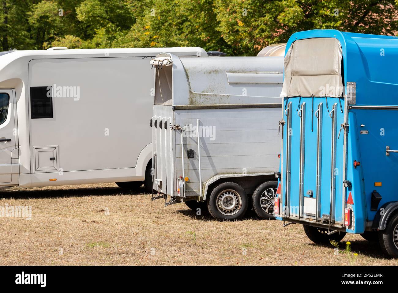 Transport de remorque à caisse de cheval et de fourgon de transport de ...