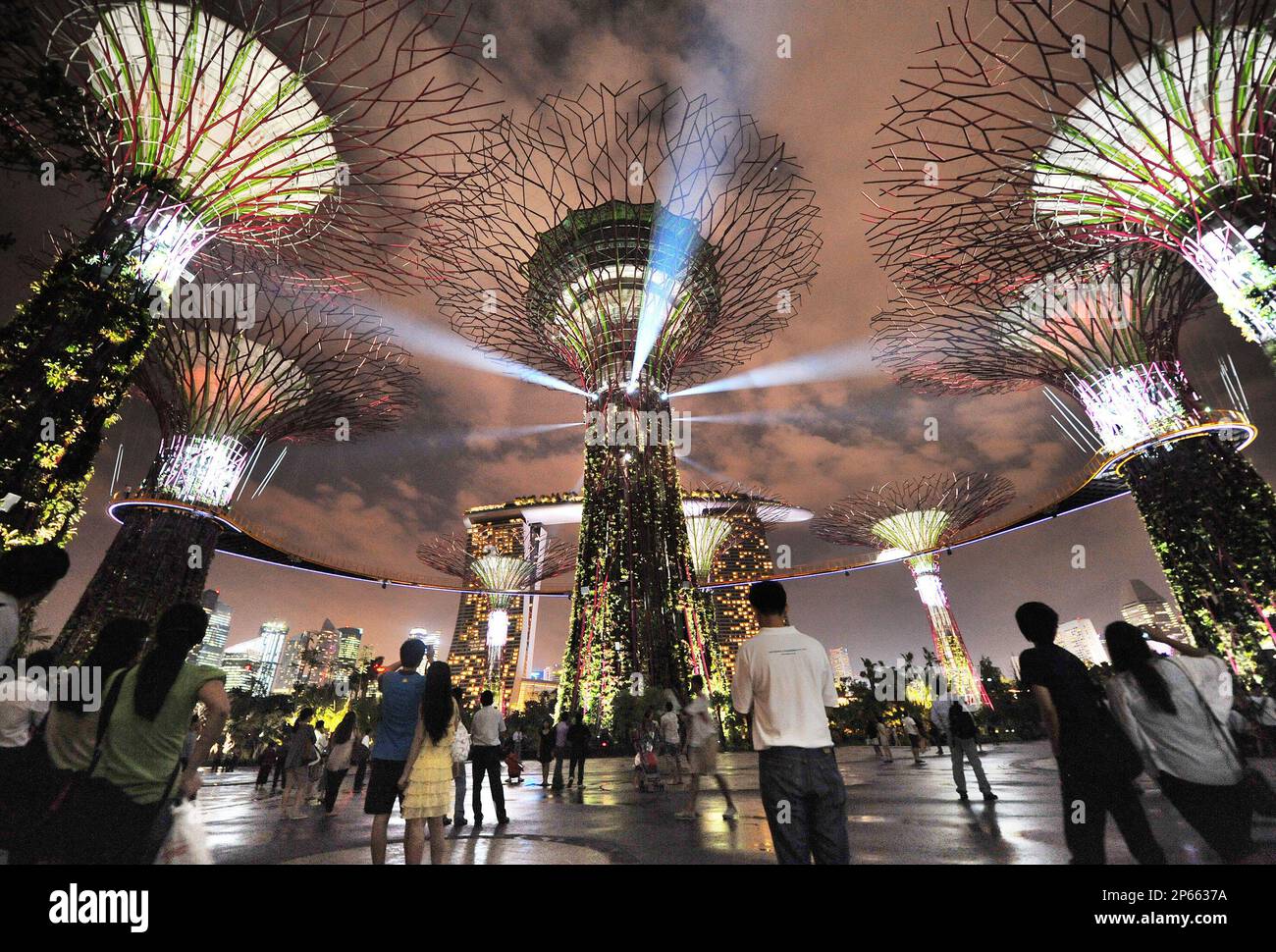 The OCBC Light and Sound Show bathes the Supertrees at the Gardens By ...