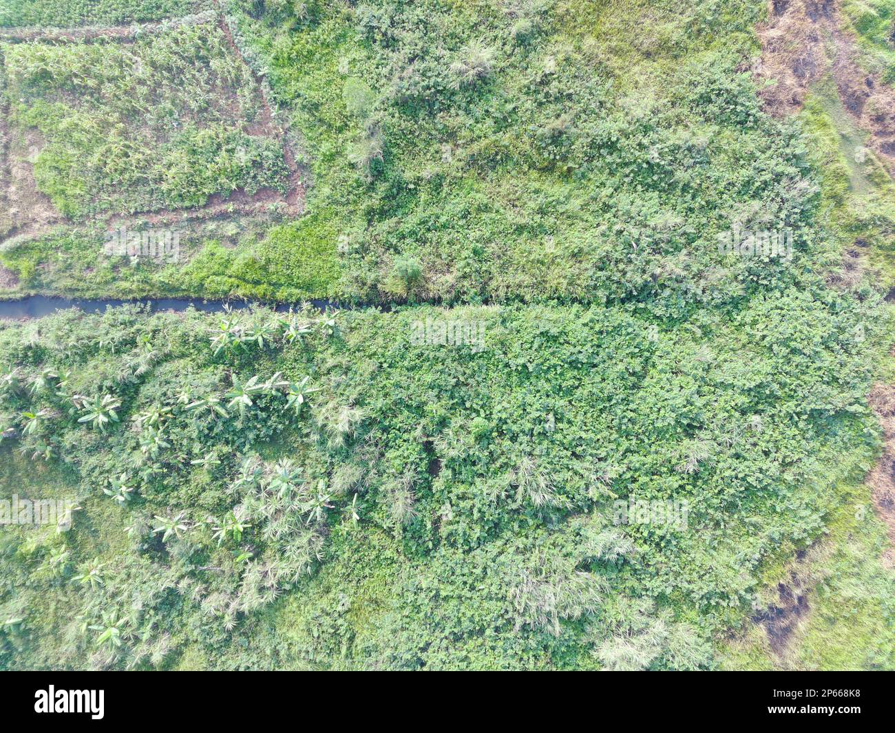 Carte bogor Banque de photographies et d’images à haute résolution - Alamy