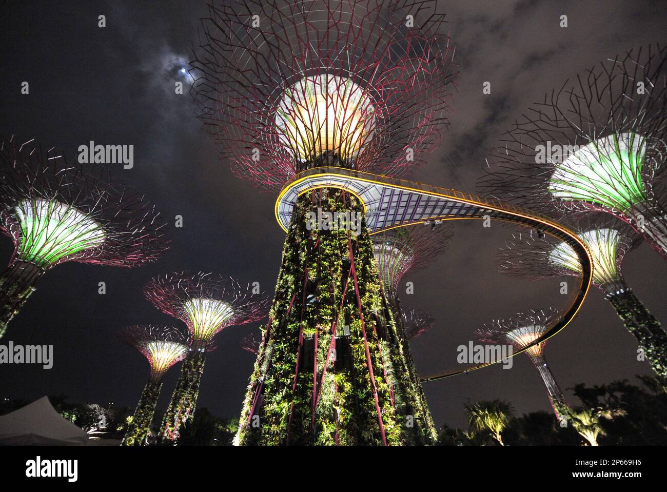 The OCBC Light and Sound Show bathes the Supertrees at the Gardens By ...