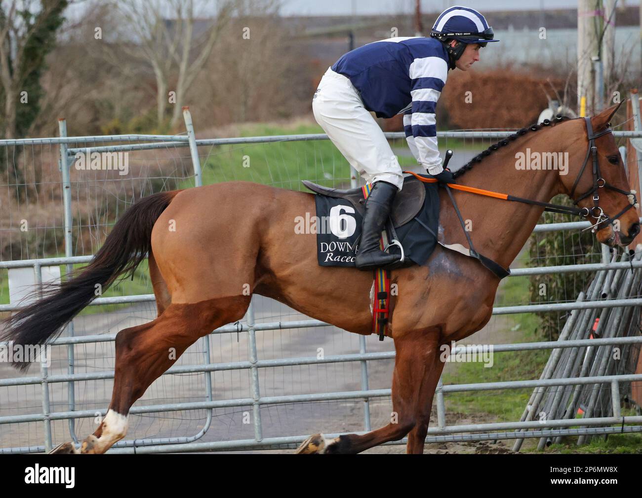 2023 vers le bas Royal Racecourse Lisburn Irlande du Nord. 24 janvier ...