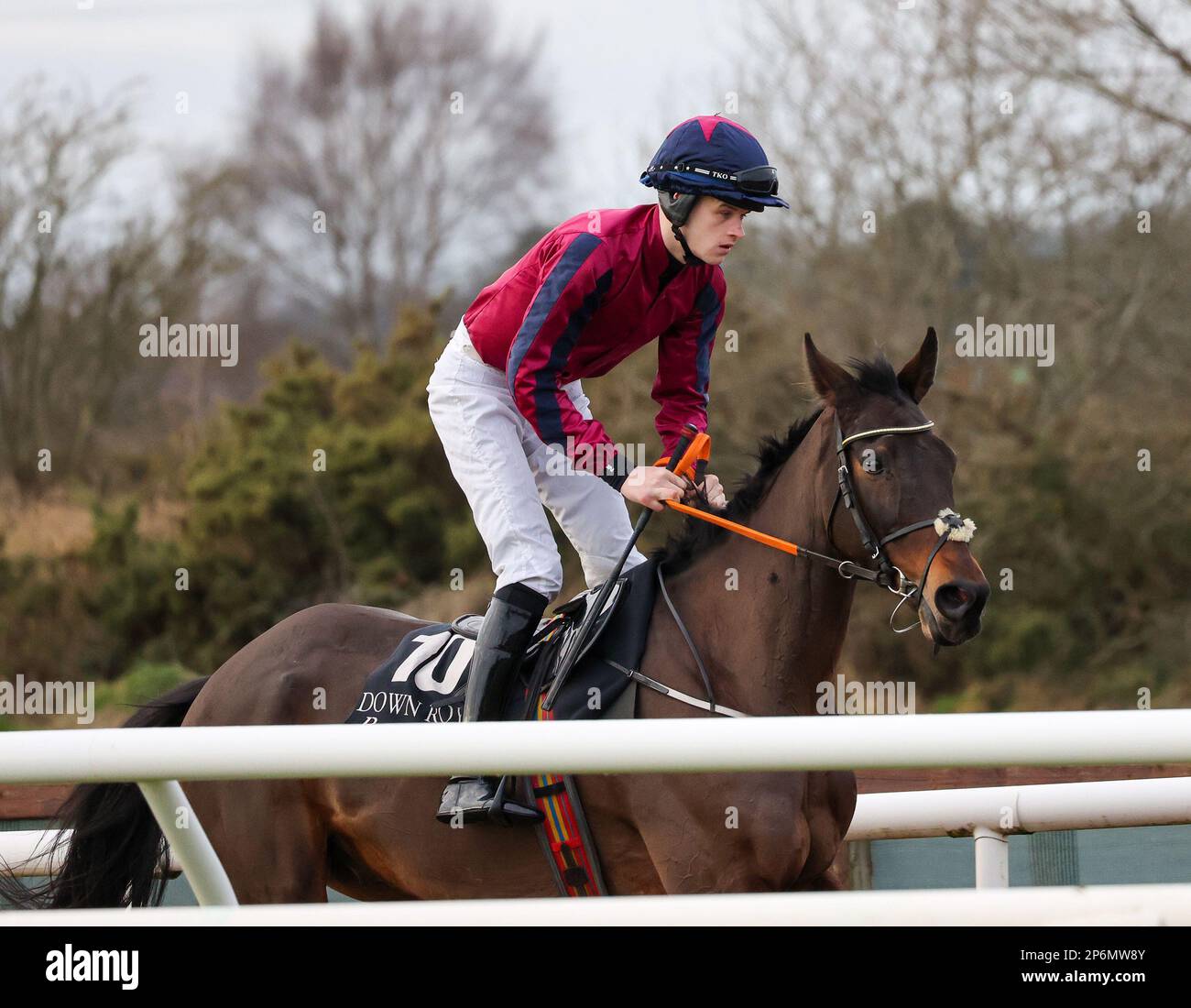 2023 vers le bas Royal Racecourse Lisburn Irlande du Nord. 24 janvier ...