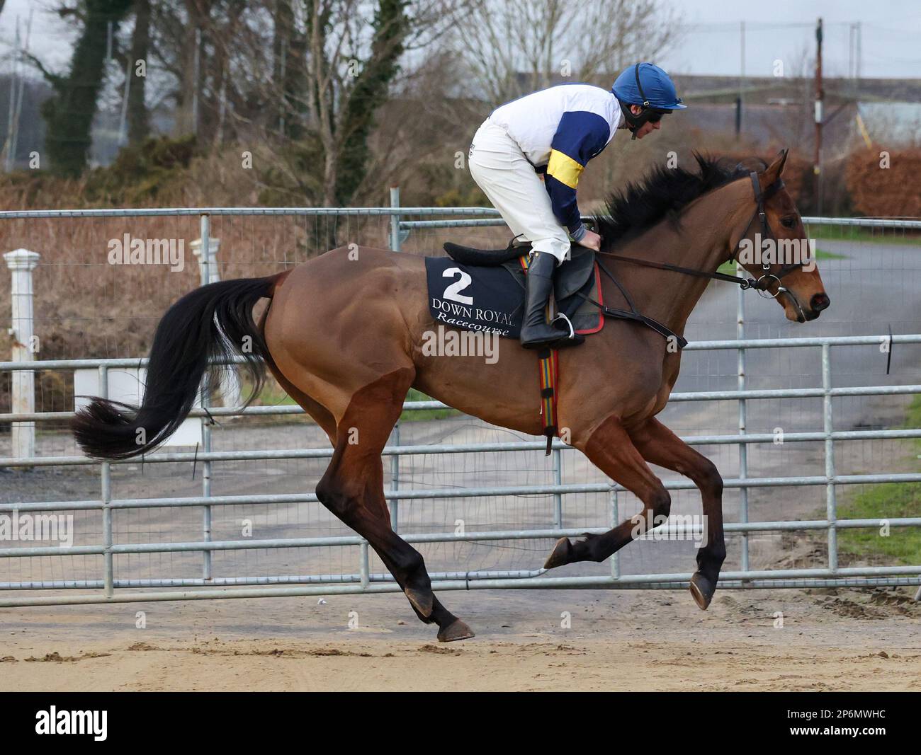 Jockey phillip enright Banque de photographies et d’images à haute ...
