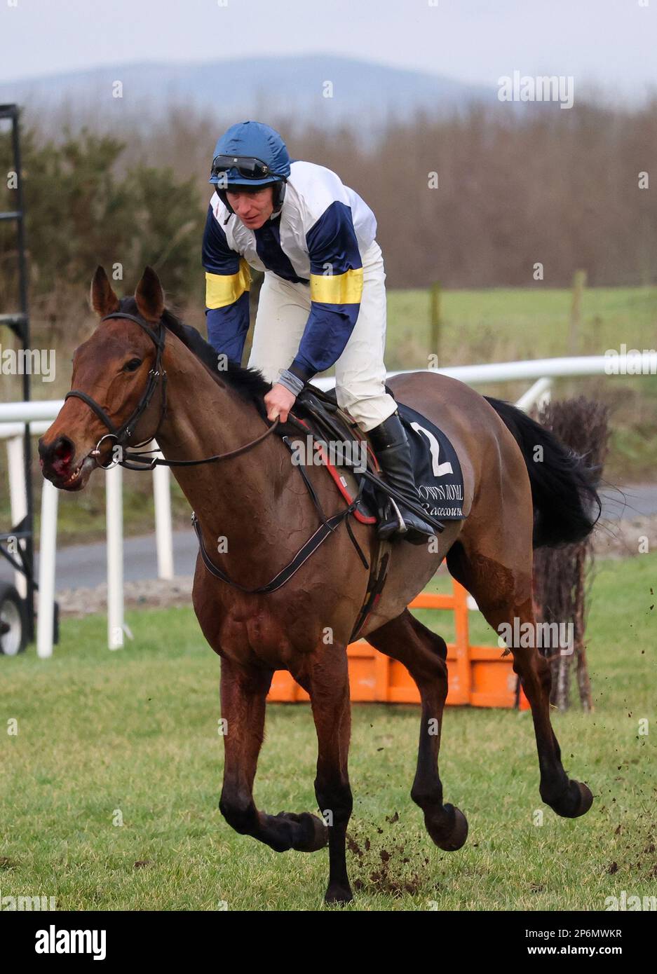 2023 vers le bas Royal Racecourse Lisburn Irlande du Nord. 24 janvier ...