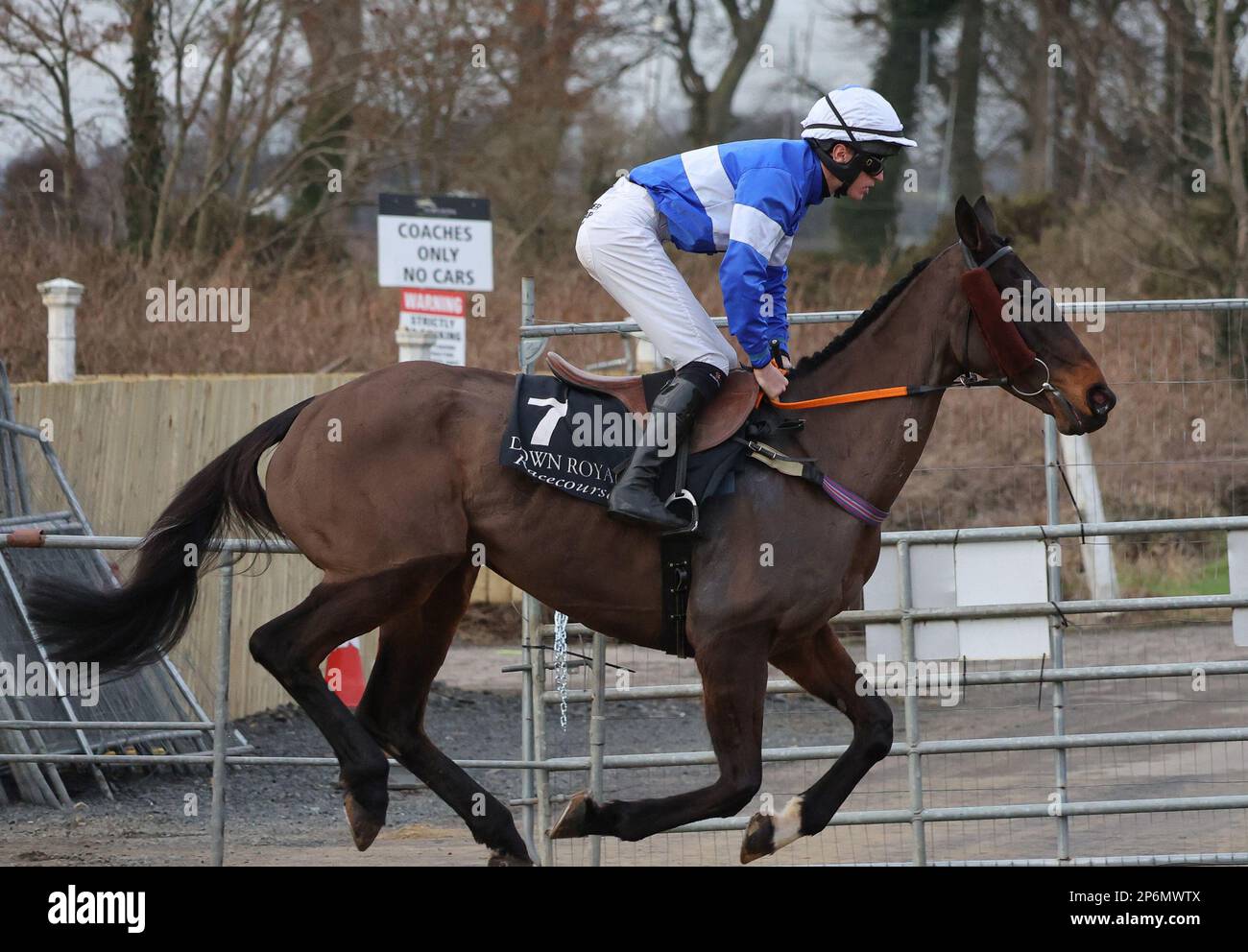 2023 vers le bas Royal Racecourse Lisburn Irlande du Nord. 24 janvier ...