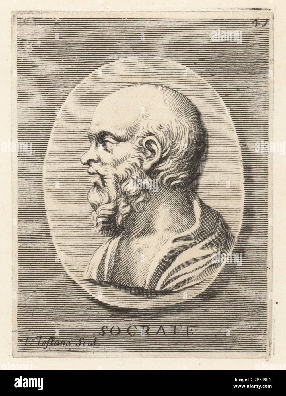 Socrates, philosophe grec et fondateur de la philosophie occidentale, c ...